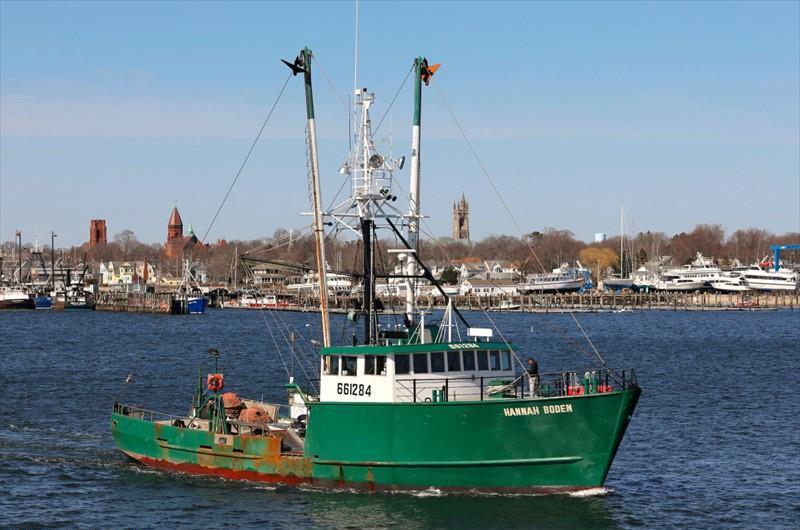 HANNAH BODEN - Vesseljoin