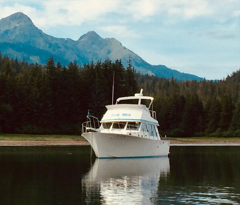 SUE BEE - Vesseljoin