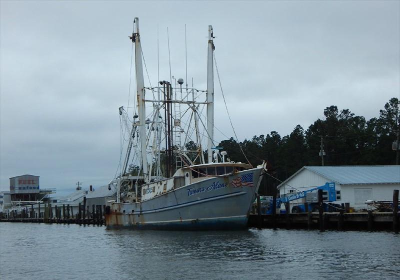 TAMARA ALANE - Vesseljoin