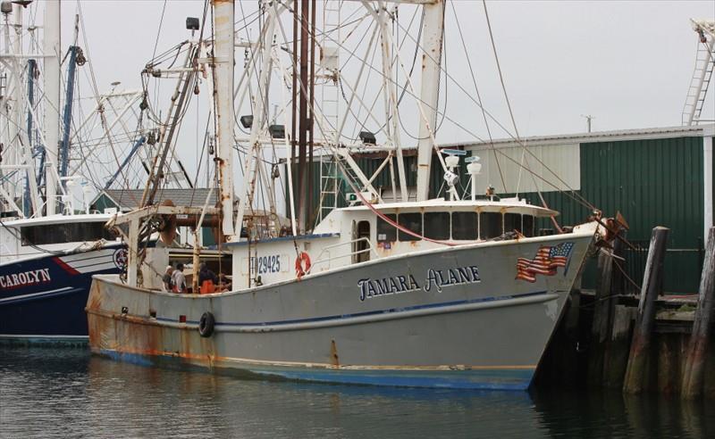 TAMARA ALANE - Vesseljoin