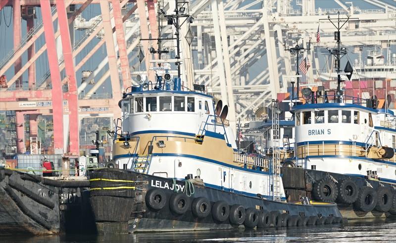 LELA JOY - Vesseljoin