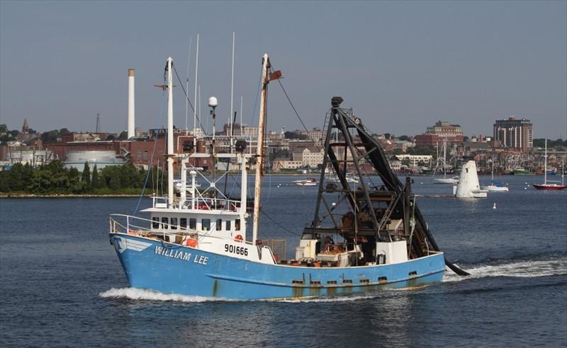 WILLIAM LEE - Vesseljoin