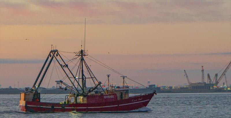 OCEAN LADY - Vesseljoin