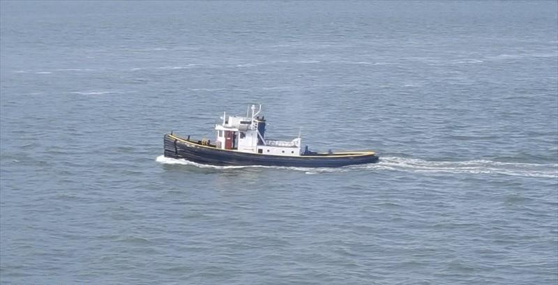 BLACK BEAR - Vesseljoin