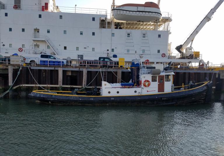 BLACK BEAR - Vesseljoin