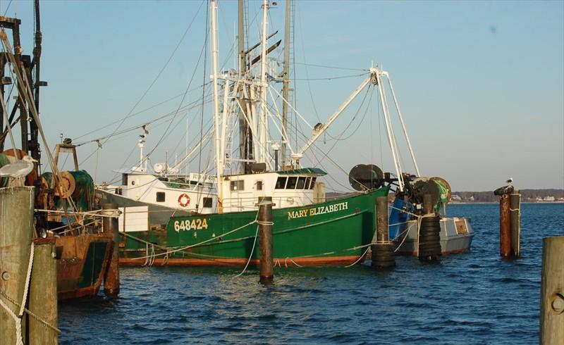 MARY ELIZABETH - Vesseljoin