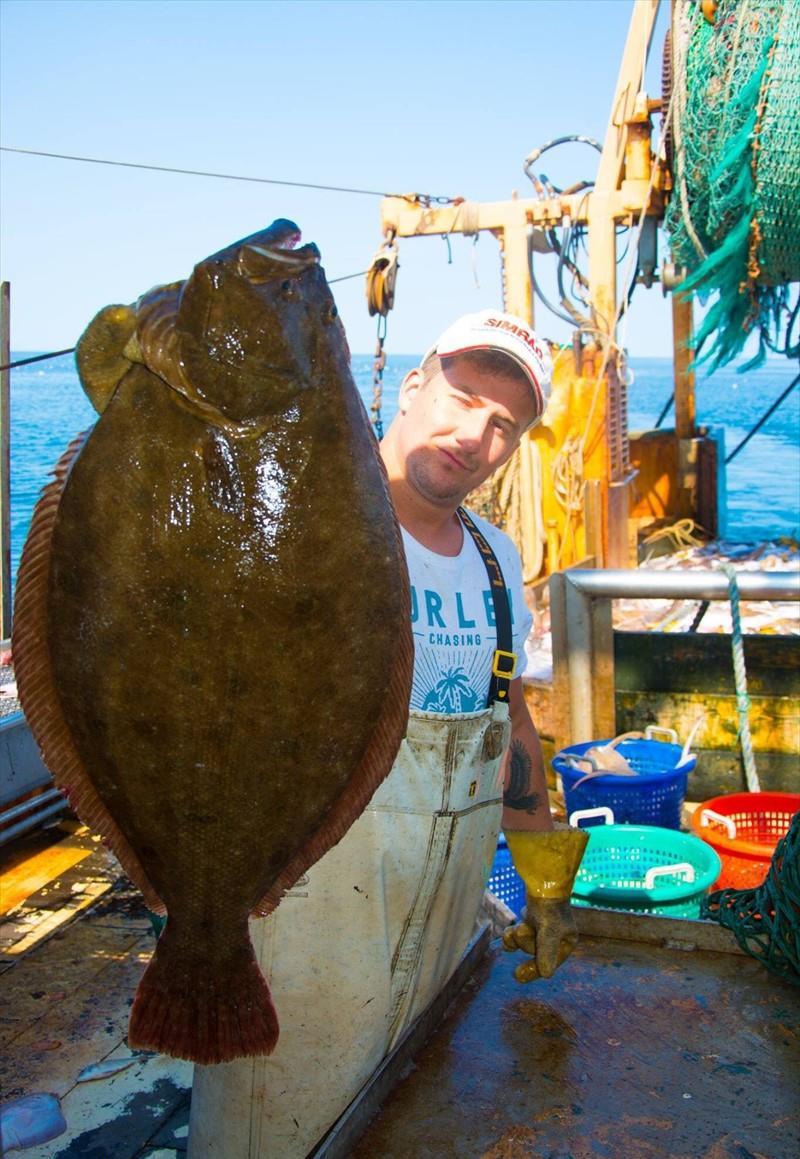 MARY ELIZABETH - Vesseljoin