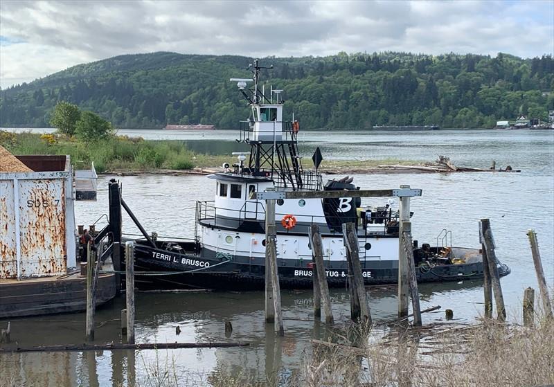 TERRI L.BRUSCO - Vesseljoin