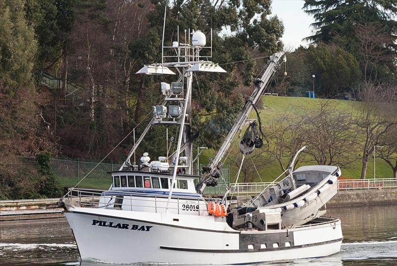 PILLAR BAY - Vesseljoin