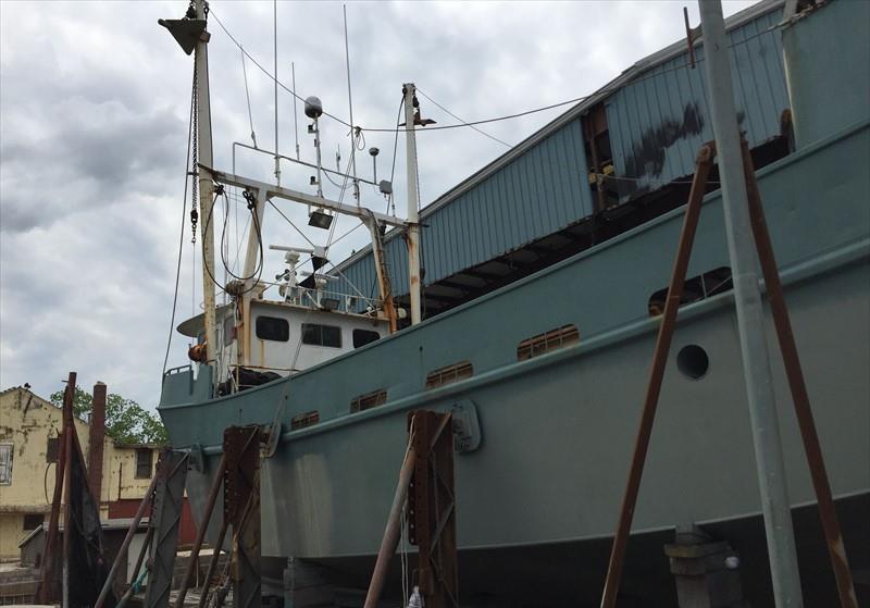 JERSEY GIRL - Vesseljoin