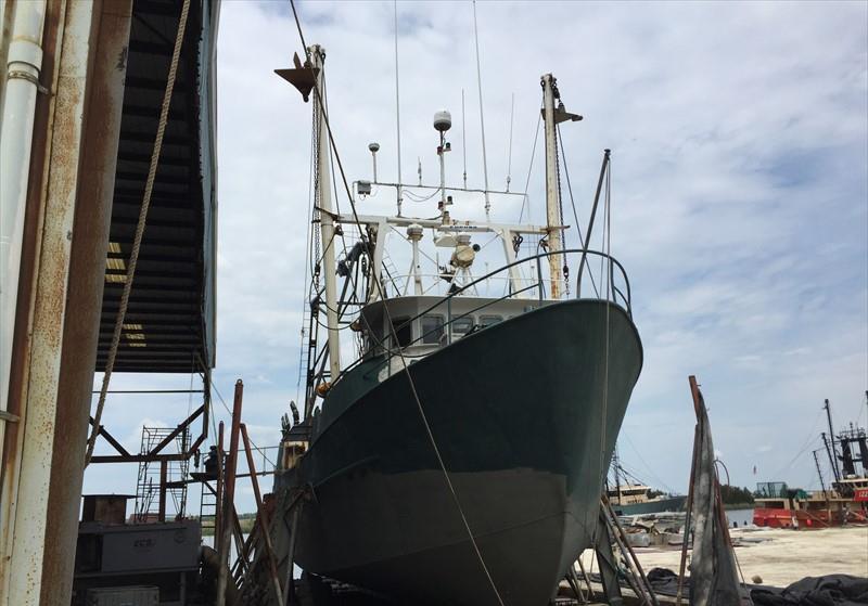 JERSEY GIRL - Vesseljoin