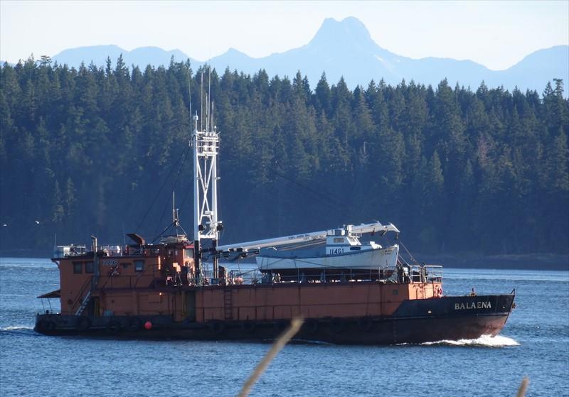 BALAENA - Vesseljoin