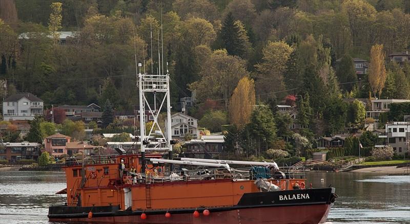 BALAENA - Vesseljoin