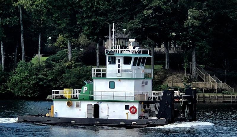 MISS MORGAN - Vesseljoin