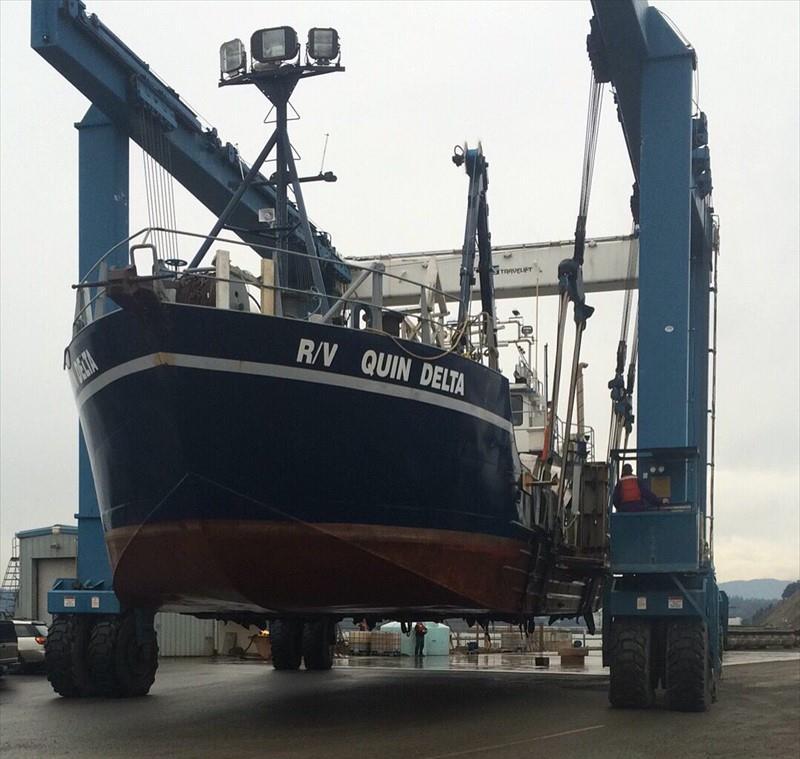 QUIN DELTA - Vesseljoin