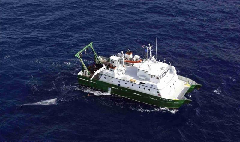 F.G.WALTON SMITH - Vesseljoin