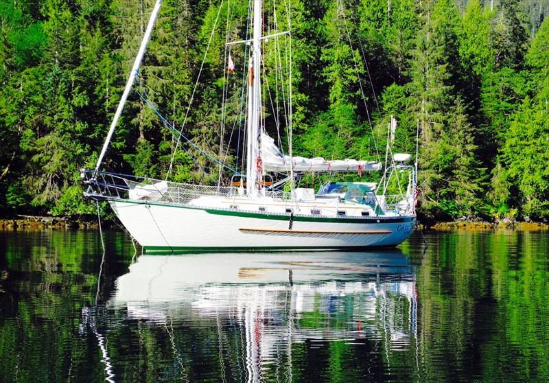 CELTIC SONG - Vesseljoin