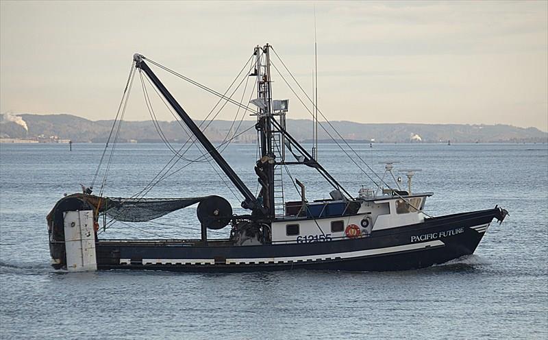 PACIFIC FUTURE - Vesseljoin