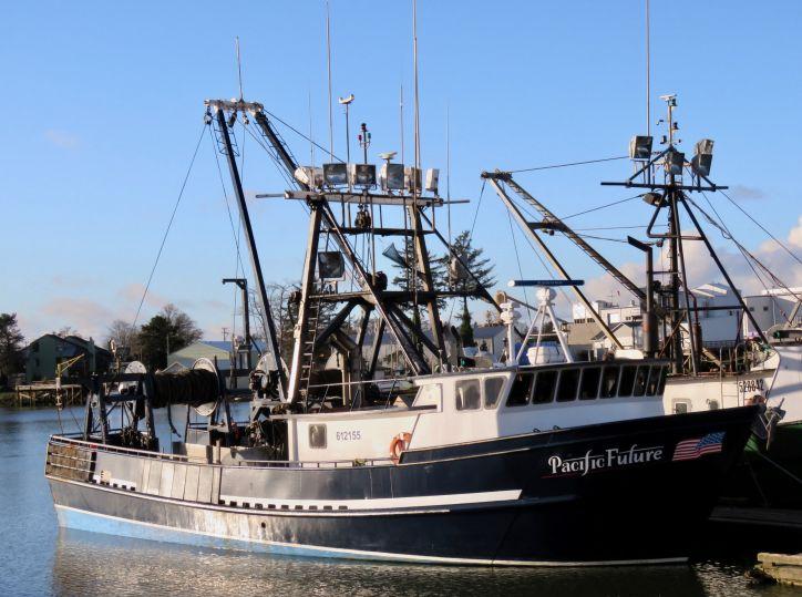 PACIFIC FUTURE - Vesseljoin