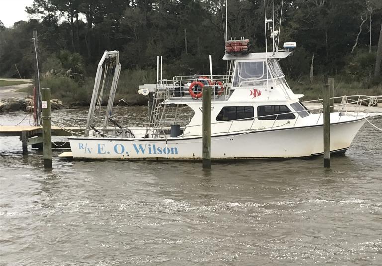 E O WILSON - Vesseljoin