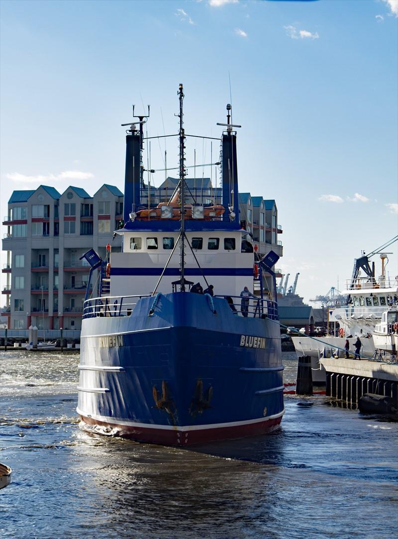 BLUEFIN - Vesseljoin