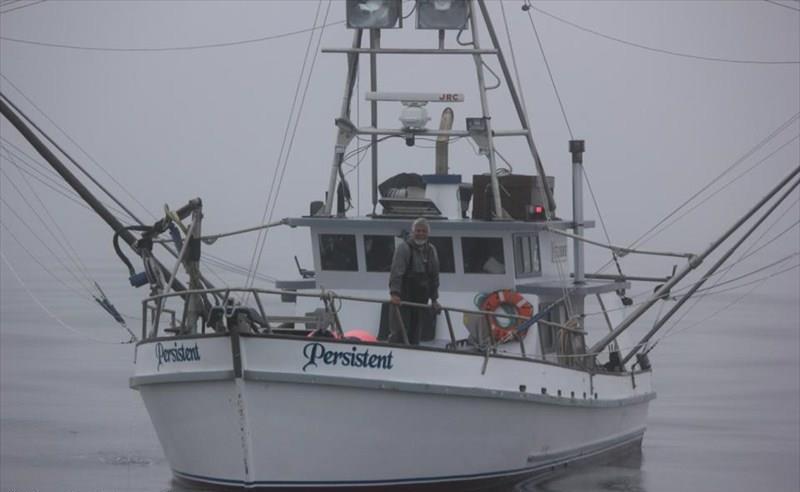 PERSISTENT - Vesseljoin