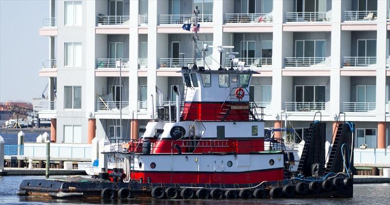 ELLIE J - Vesseljoin