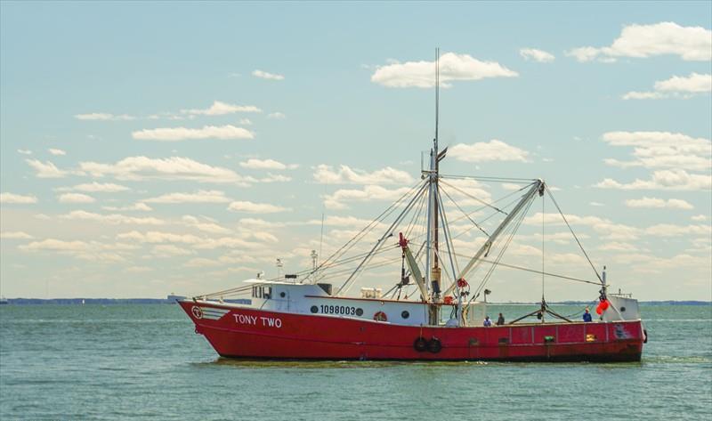 TONY TWO - Vesseljoin