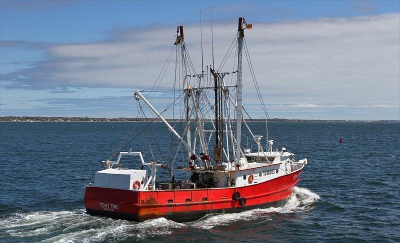 TONY TWO - Vesseljoin