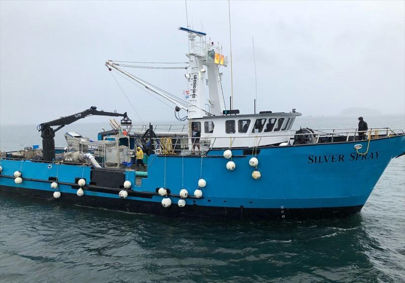 SILVER.SPRAY - Vesseljoin