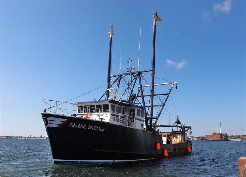 AMBER NICOLE - Vesseljoin