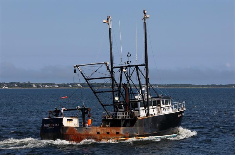 AMBER NICOLE - Vesseljoin