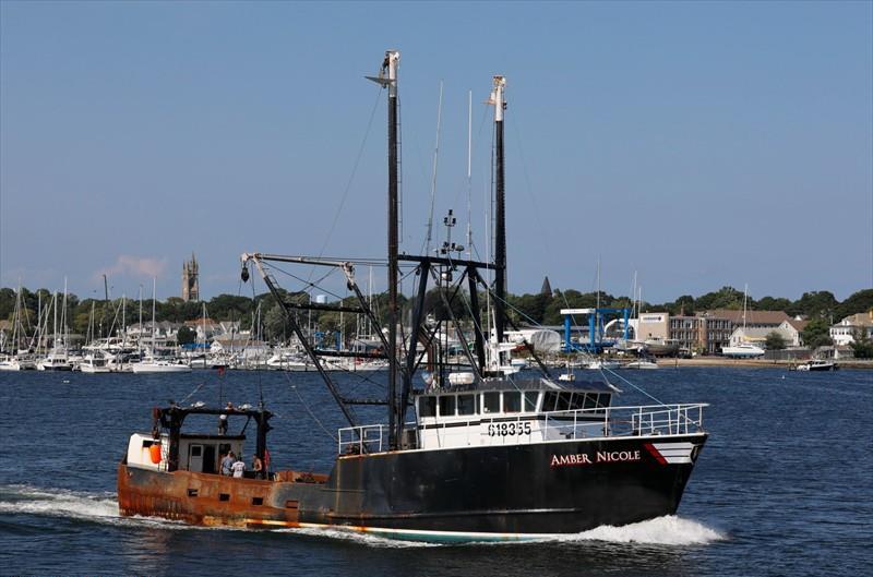 AMBER NICOLE - Vesseljoin