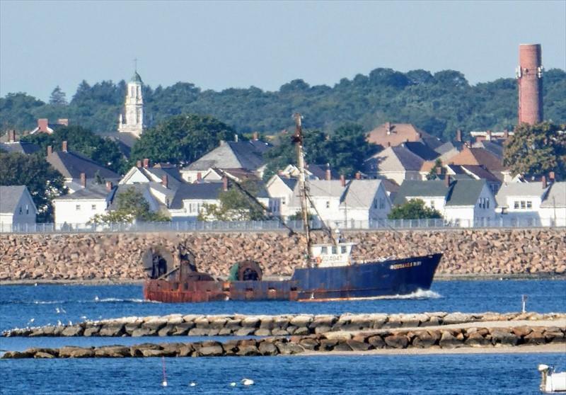 BUZZARDS BAY - Vesseljoin