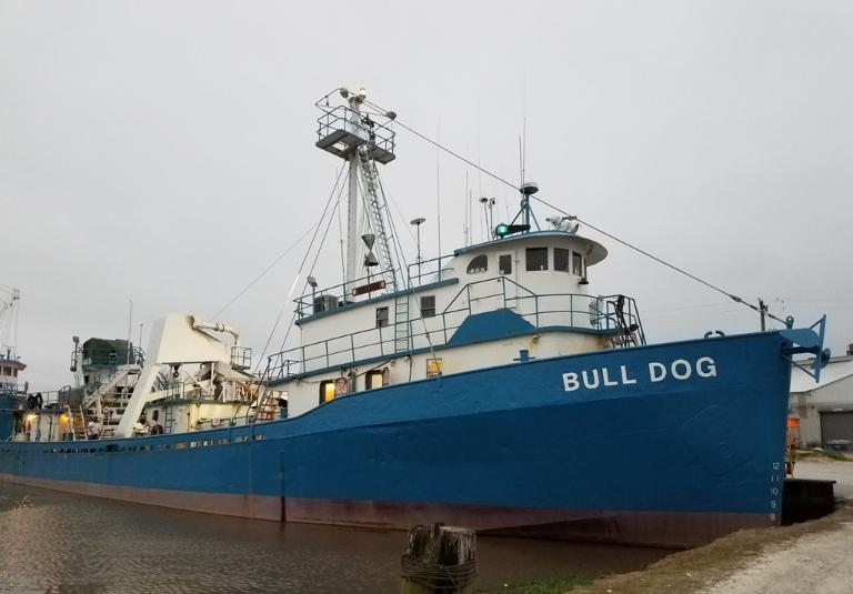 BULL DOG - Vesseljoin