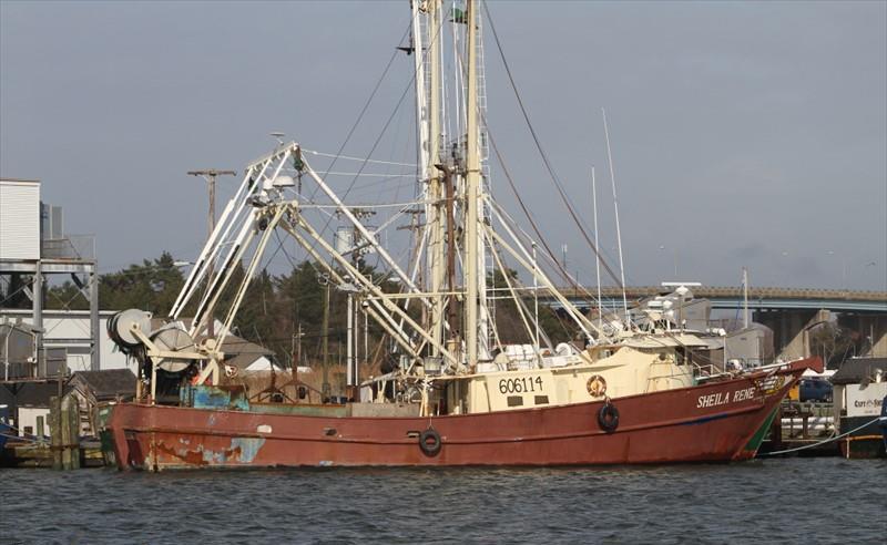 SHEILA RENE - Vesseljoin