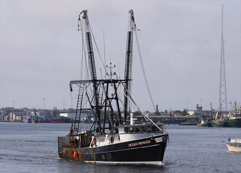 OCEAN PRINCESS - Vesseljoin