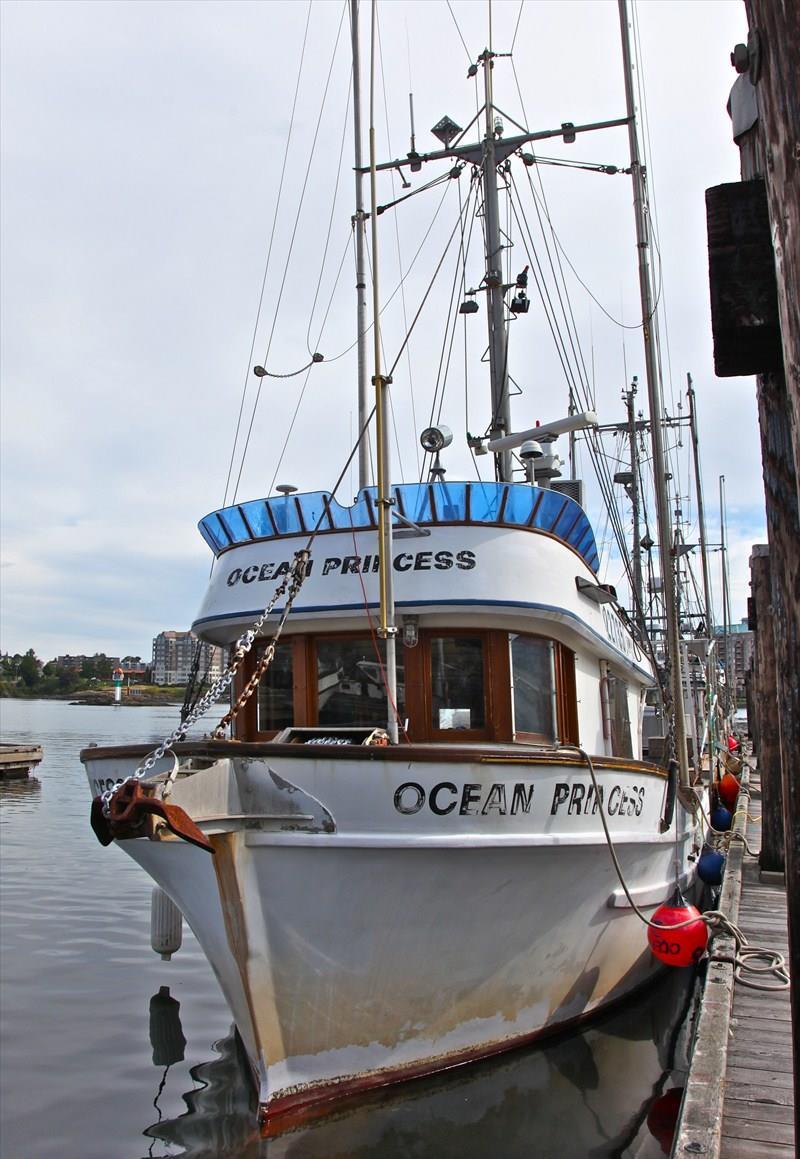 OCEAN PRINCESS - Vesseljoin