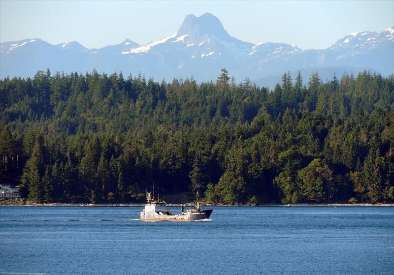 ENTRANCE POINT - Vesseljoin