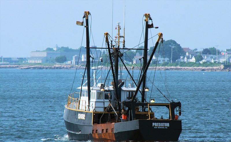 PREDATOR - Vesseljoin