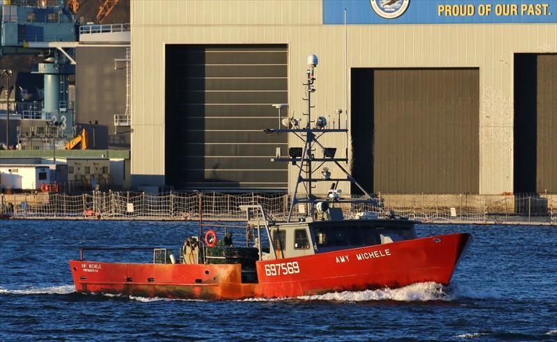 AMY MICHELE - Vesseljoin