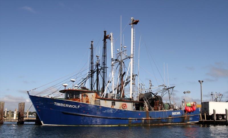 TIMBER WOLF - Vesseljoin