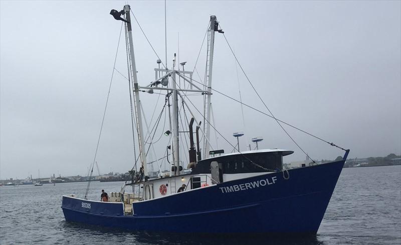 TIMBER WOLF - Vesseljoin