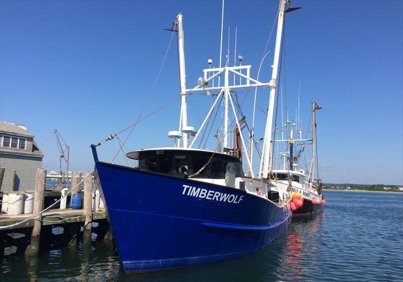 TIMBER WOLF - Vesseljoin