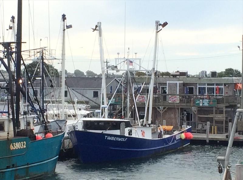 TIMBER WOLF - Vesseljoin