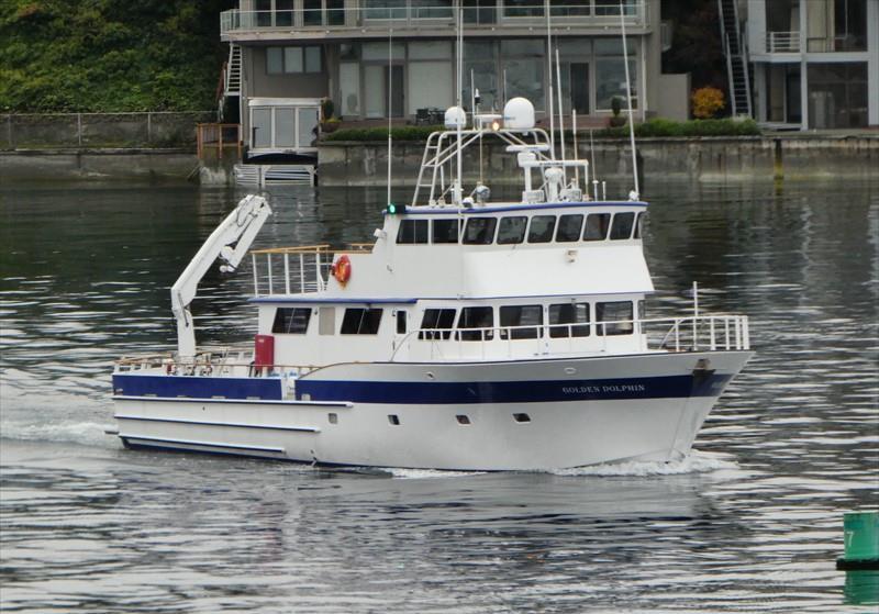 GOLDEN DOLPHIN - Vesseljoin