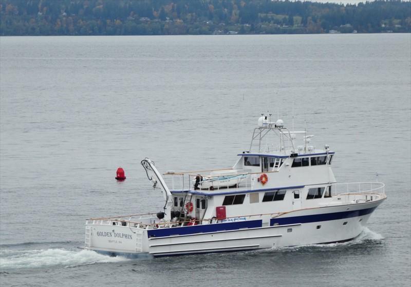 GOLDEN DOLPHIN - Vesseljoin