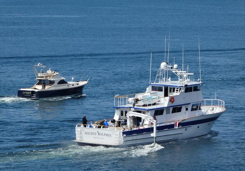 GOLDEN DOLPHIN - Vesseljoin