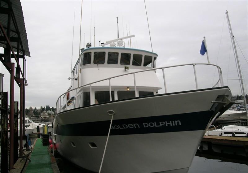 GOLDEN DOLPHIN - Vesseljoin