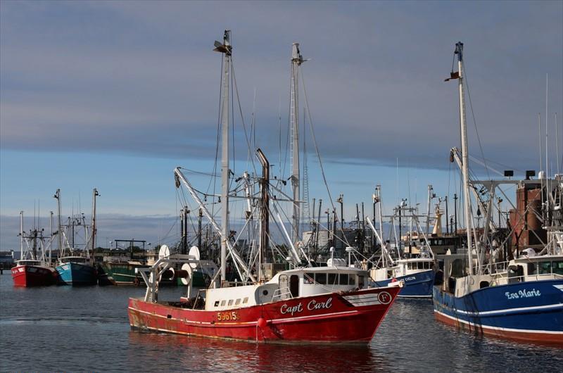 CAPT CARL - Vesseljoin